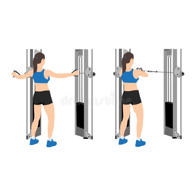 Chest Fly Machine Stock Illustrations – 19 Chest Fly Machine Stock ...