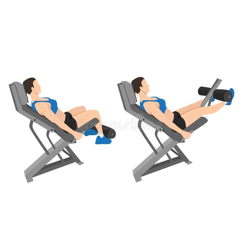 Leg Extension Stock Illustrations – 233 Leg Extension Stock ...