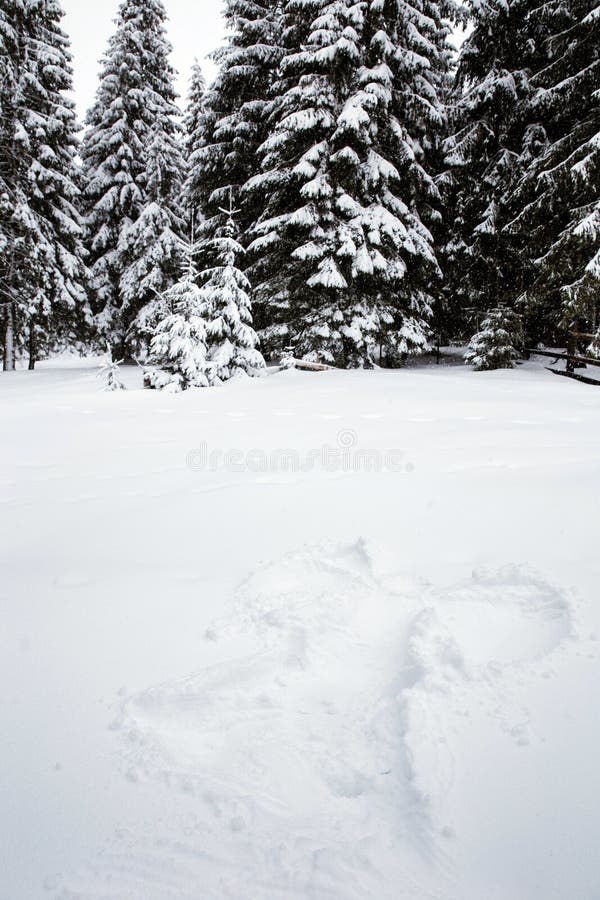 Woman Doing a Snow Angel in Heavy Snow. Winter Time Stock Image - Image ...