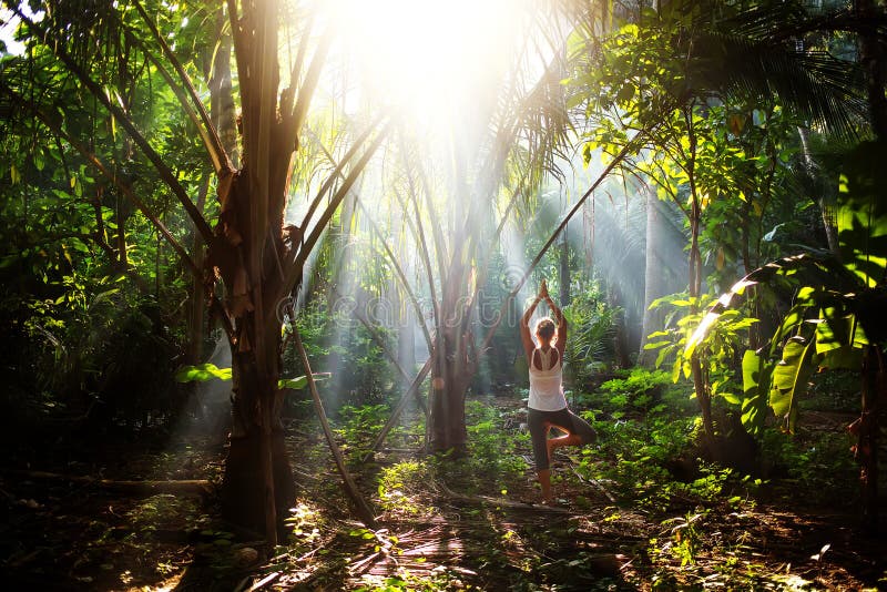 Woman Doing Yoga Outside in Jungle Stock Photo - Image of nature ...