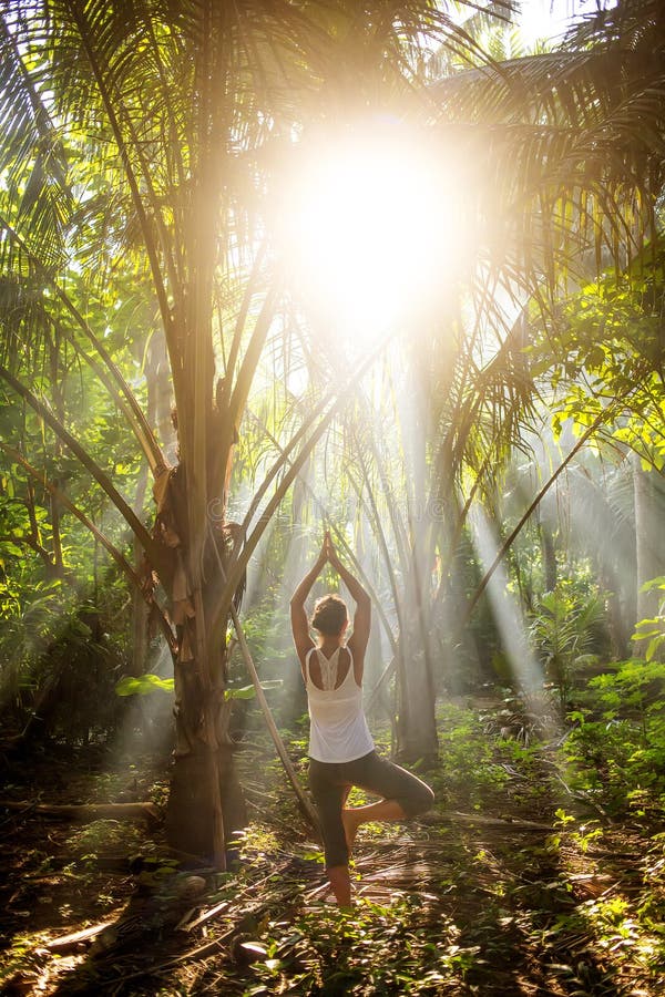 Woman Doing Yoga Outside in Jungle Stock Photo - Image of outside ...