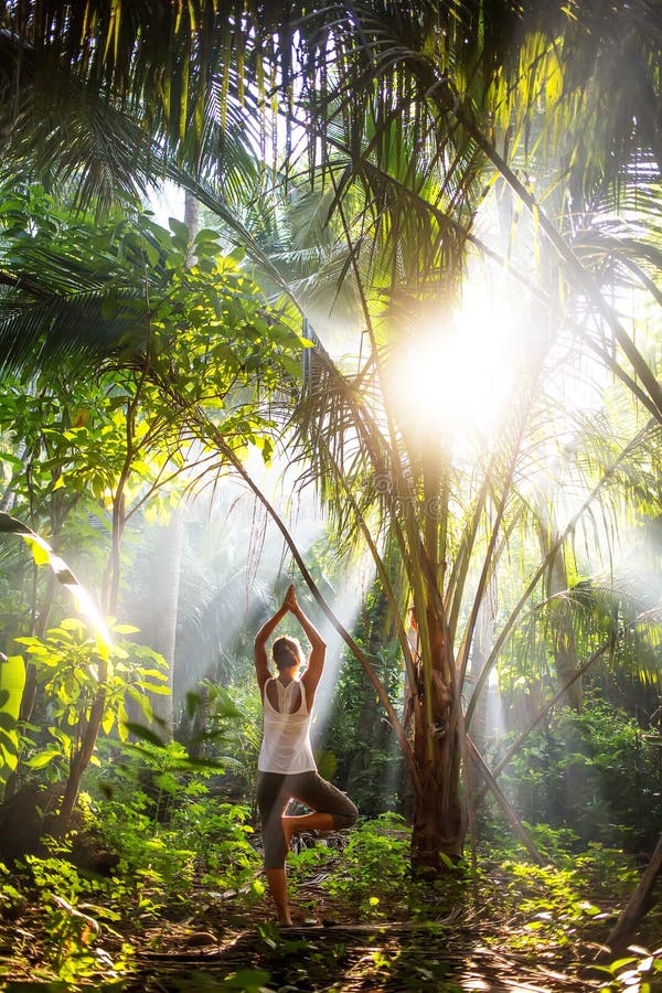 Woman Doing Yoga Outside in Jungle Stock Photo - Image of contemplation ...