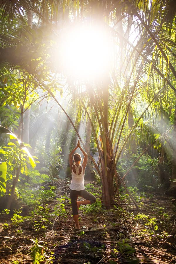 Woman Doing Yoga Outside in Jungle Stock Photo - Image of outdoor ...