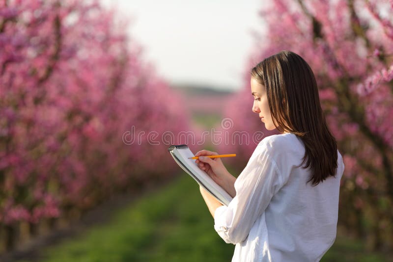 Woman Drawing a Pink Field in a Notebook Stock Image - Image of girl ...