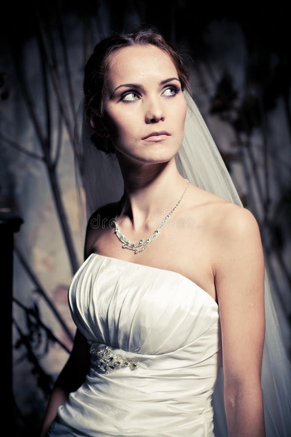 Woman dressed as a bride stock image. Image of bride - 22039797