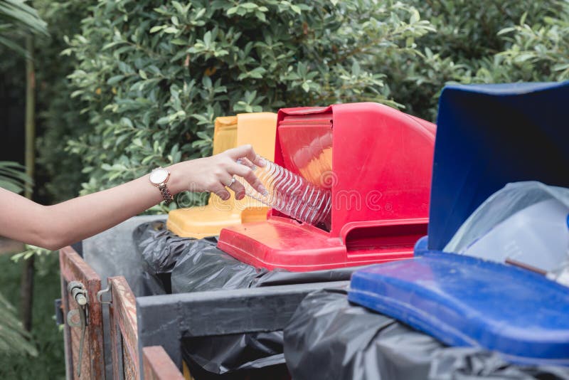Waste Management, Woman Throwing Plastic Bottle into Recycle Bin. Waste ...