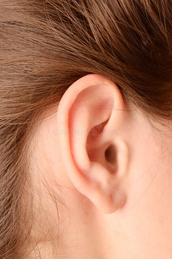 Woman ear stock image. Image of hear, healthy, attention - 26270327