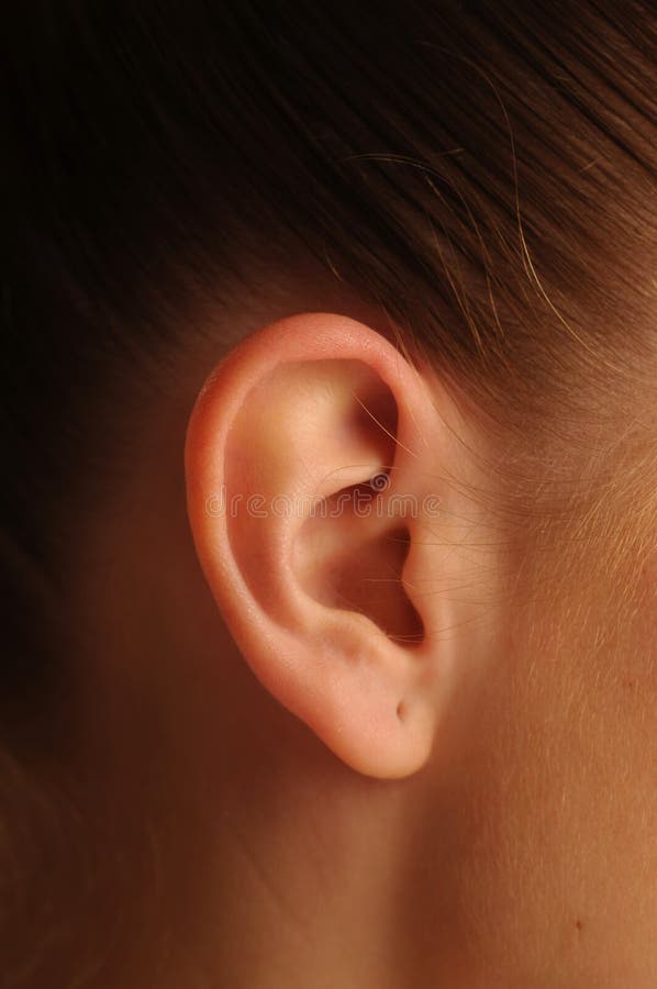 Woman ear stock photo. Image of detail, sensory, girl - 9972758