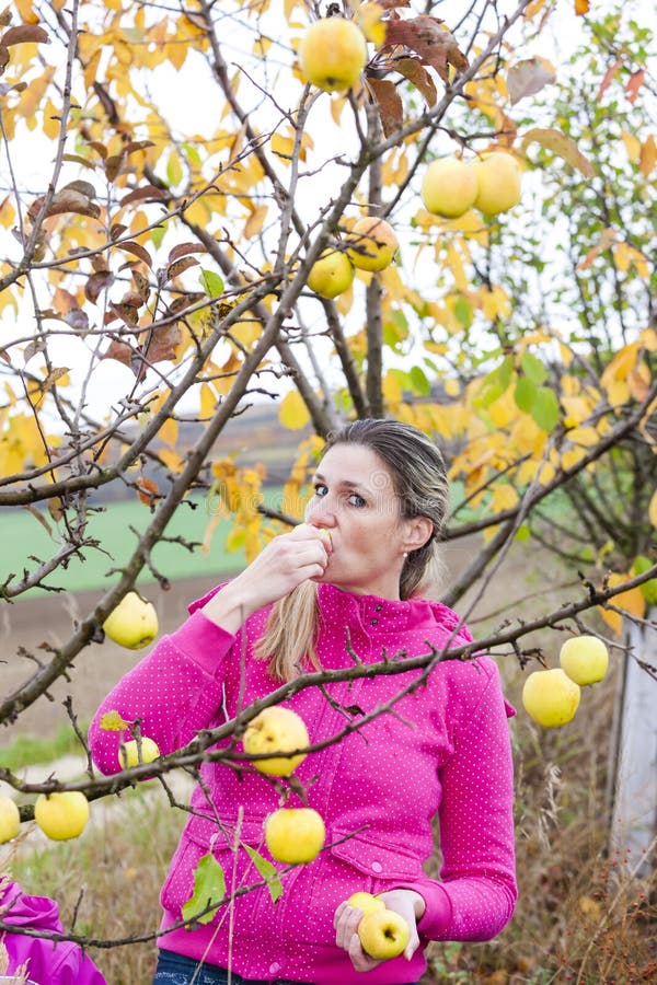 Woman eating an apple stock image. Image of nourishment - 62406461