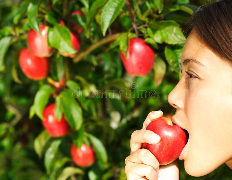 Woman eating apple outside stock photo. Image of green - 10679552