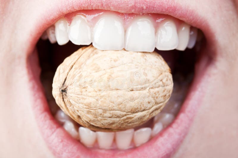 Woman eating hard nut stock photo. Image of object, natural - 21555288