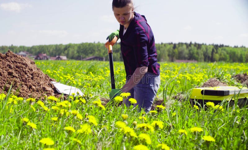 Woman Ecologist on the Meadow Digging a Soil Slit Stock Image - Image ...