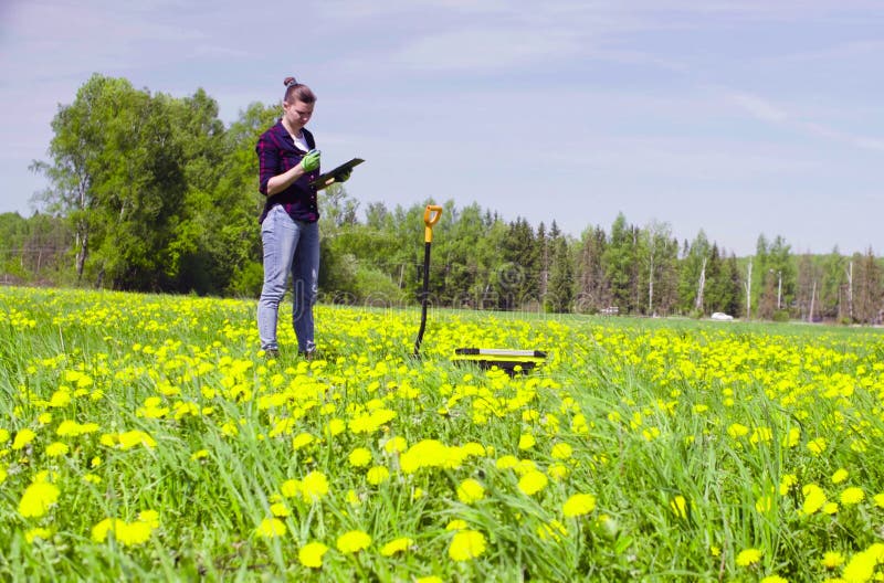Woman Ecologist Marking Something on the Map Stock Image - Image of ...