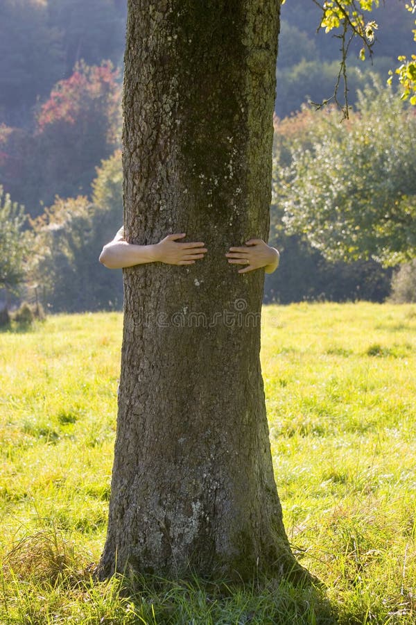 Woman Hugging a Tree in the Forest Stock Photo - Image of outside ...