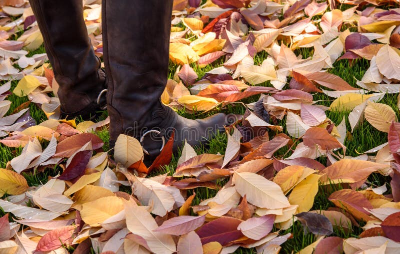 Woman Enjoying the Fall Leaves Stock Image - Image of leaves, ground ...
