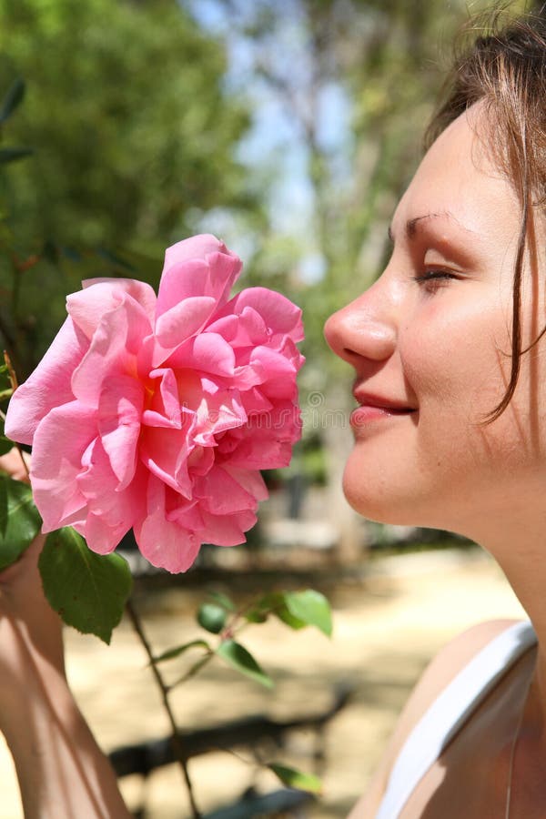 32,954 Smell Rose Stock Photos - Free & Royalty-Free Stock Photos from ...