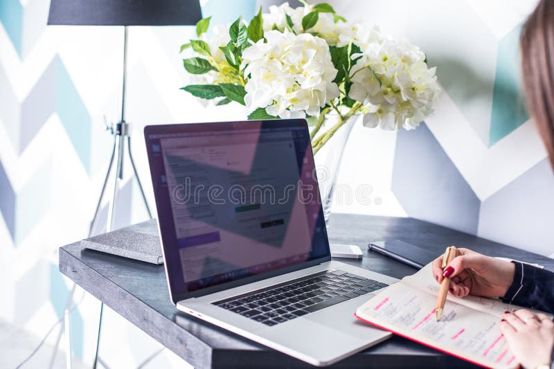 Female Professional Business Content Writer Using Net-book Stock Image ...