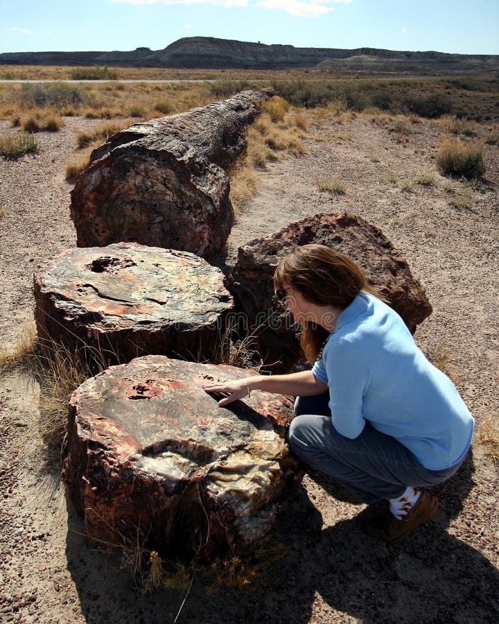 A Woman Examines a Giant Petrified Log Stock Photo - Image of outdoor ...