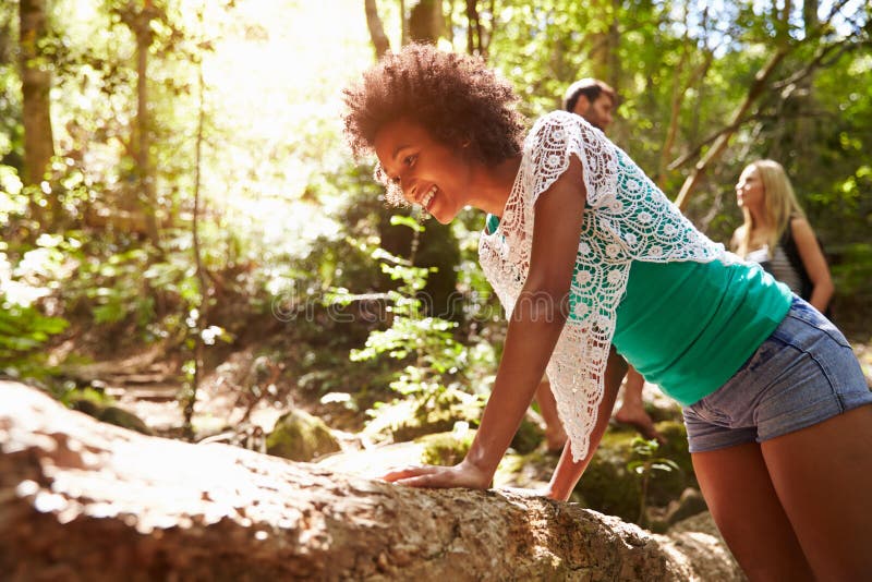 Woman Examining Nature during Walk in Countryside Stock Image - Image ...
