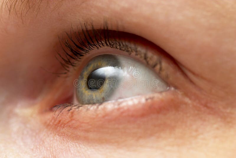 Eye in the mirror stock photo. Image of watching, watch - 2477180