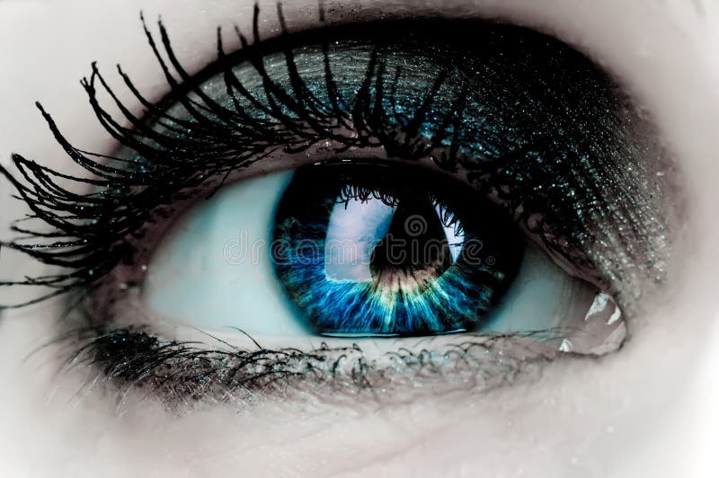 Human eye stock photo. Image of creative, brows, inspiration - 2109618