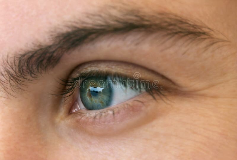 EyeBrow Piercing stock photo. Image of silver, eyebrows, teens - 1878