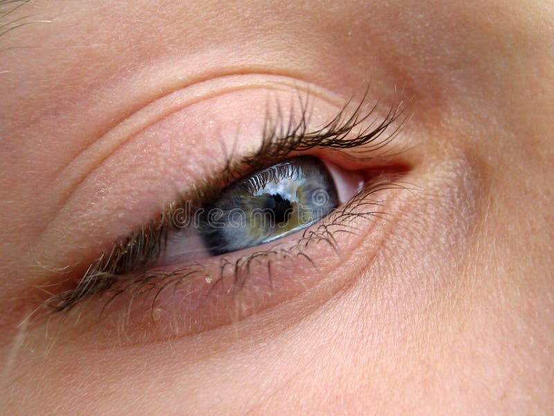 Woman Eye Picture. Image: 813602