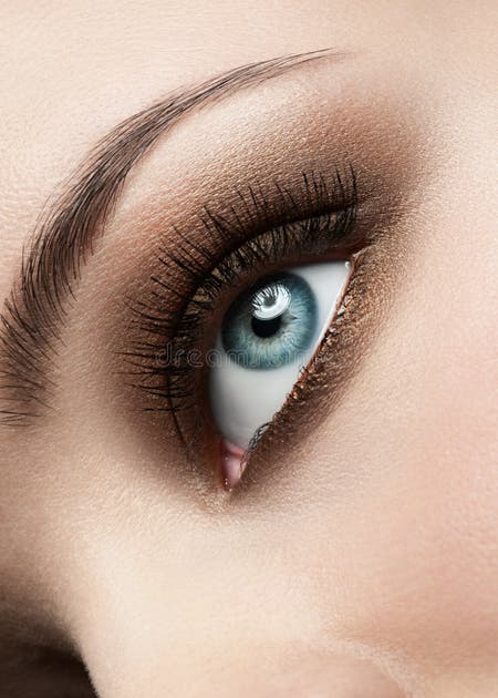 Woman eye with make-up stock image. Image of false, beauty - 22466443