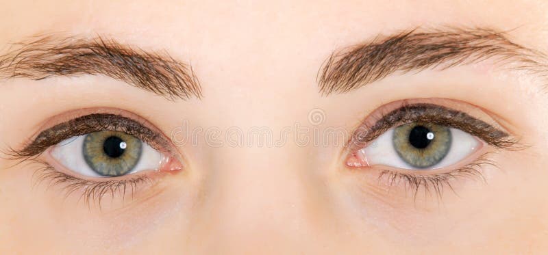 Two eyes stock image. Image of studio, person, eyelash - 14086399