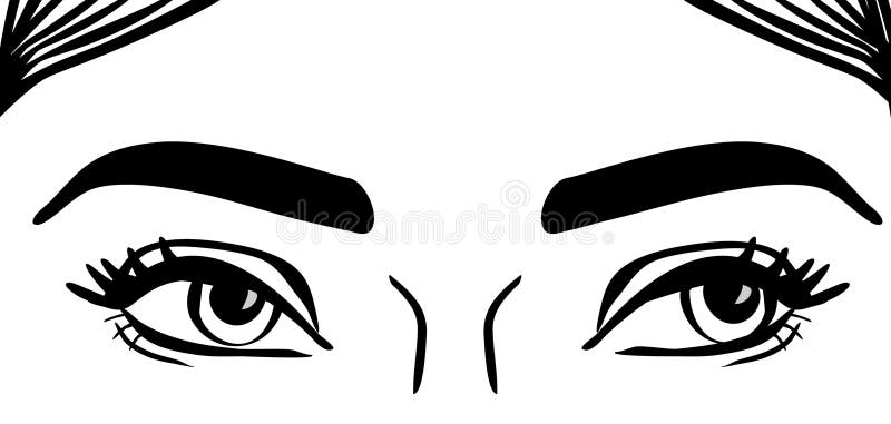 Woman Eyes Eyebrows Line Drawing Outline Style Vector Illustration ...