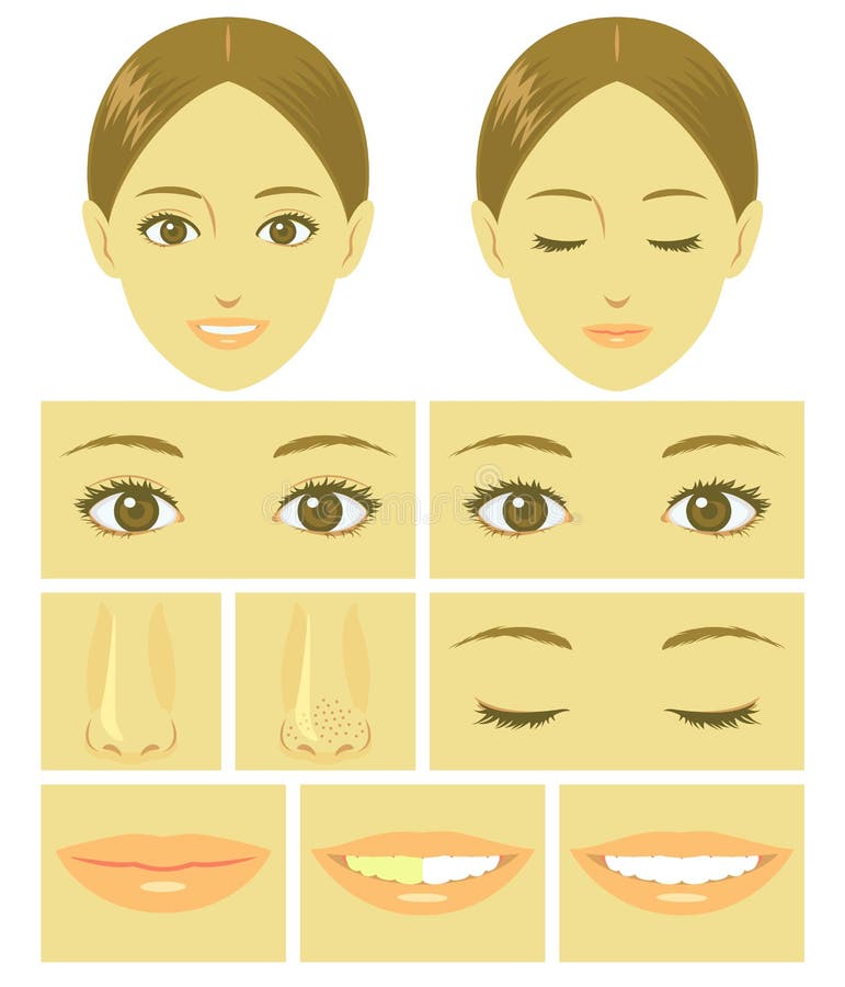 Woman face parts stock vector. Illustration of care, healthy - 54274333