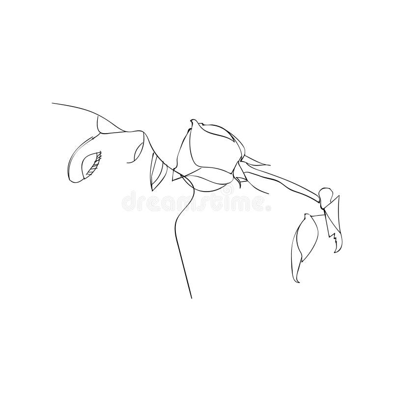 Woman Face With Rose Flower Continuous Line Drawing Vector