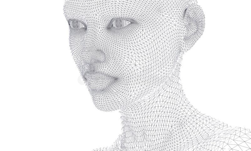 Wireframe Woman Face Stock Illustrations – 1,469 Wireframe Woman Face ...