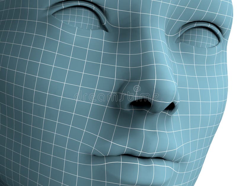 Woman Face in Wireframe Lines Isolated on White.3D Illustration Stock ...
