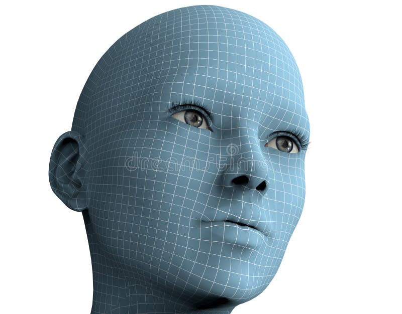 Woman Face in Wireframe Lines Isolated on White.3D Illustration Stock ...