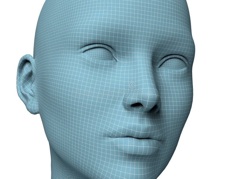 Woman Face in Wireframe Lines Isolated on White.3D Illustration Stock ...