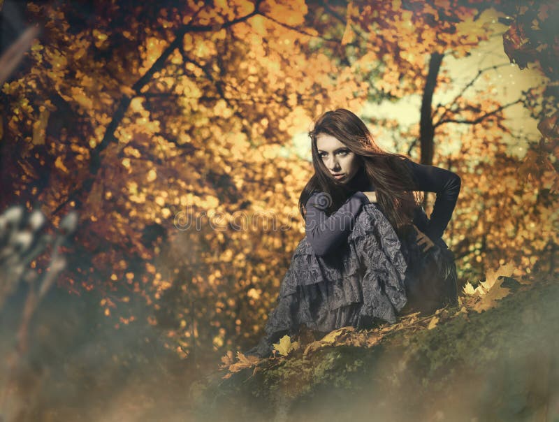 Woman at fall forest stock photo. Image of lady, sunset - 27843718