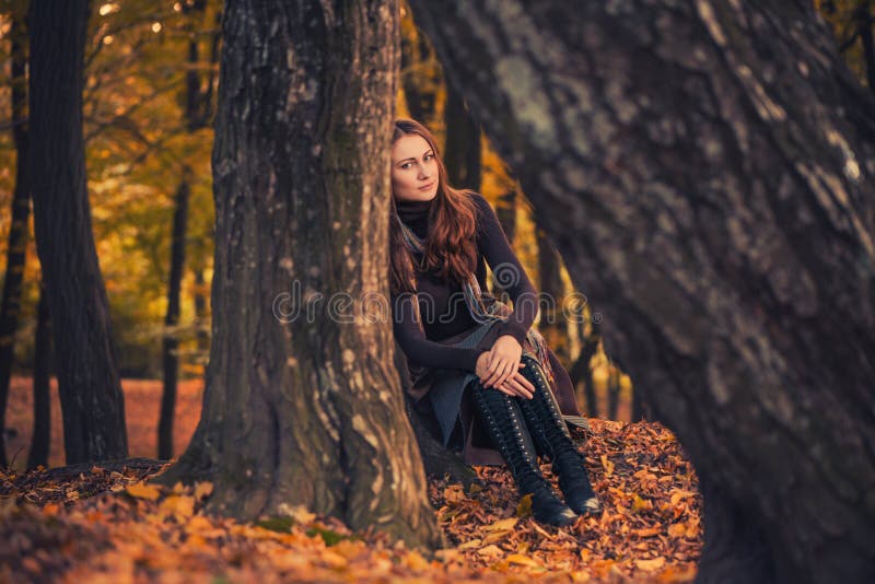 Woman at fall forest stock photo. Image of stylish, elegant - 34297508