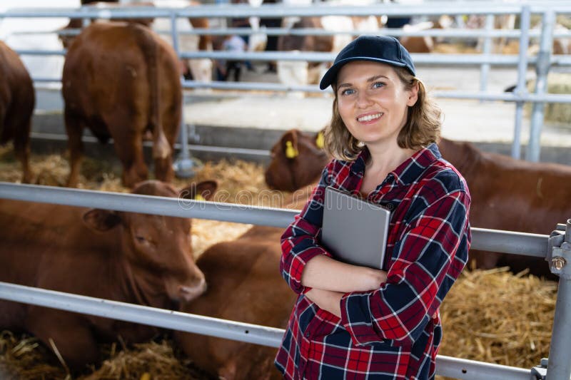 Woman Farmer with Tablet Computer Inspects Cows at a Dairy Farm. Stock ...