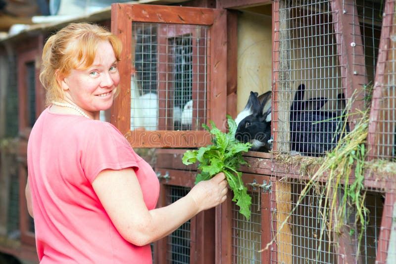 Woman feeding rabbits stock photo. Image of crate, human - 26061274