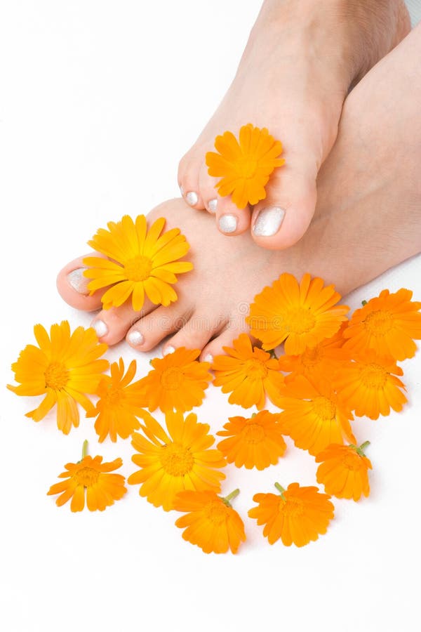 Woman s foot and hand stock photo. Image of foot, females - 2517878