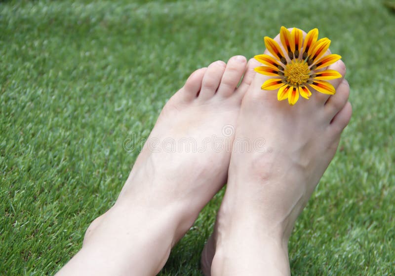 Woman Feet on the Grass with Flower Stock Image - Image of care ...