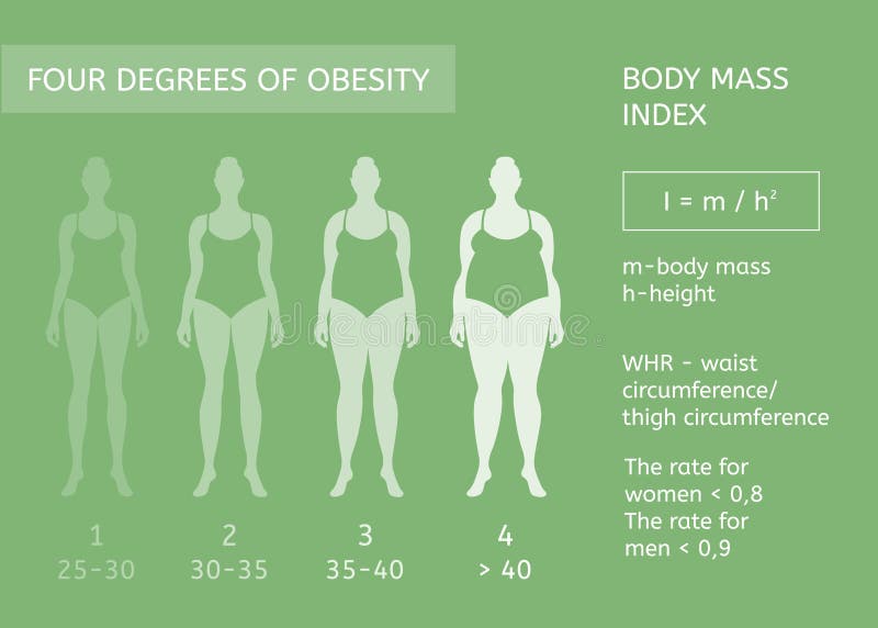 Stages Of Obesity Process Vector Illustration Woman C