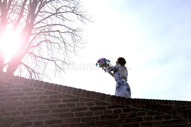Woman with Flowers Reaching for the Tree and the Sun Stock Image ...
