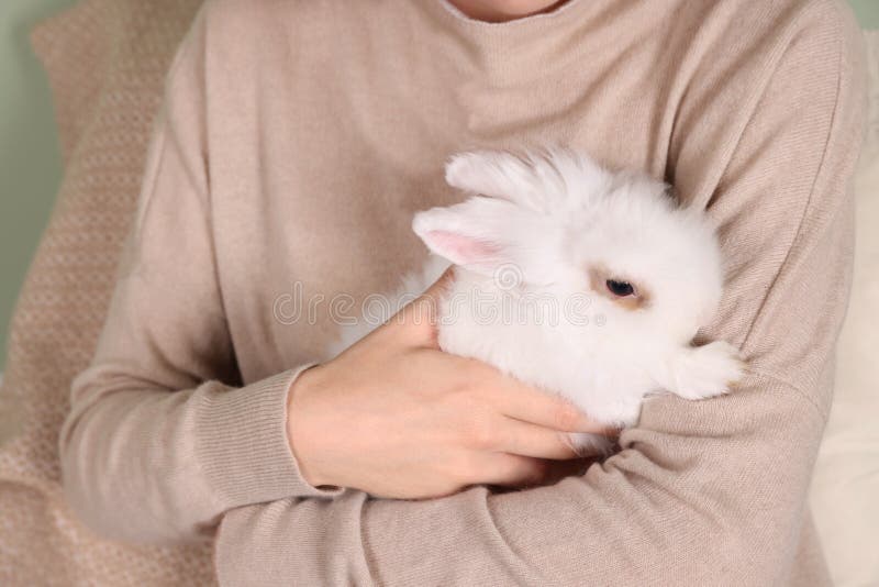 Woman with Fluffy White Rabbit, Closeup. Cute Pet Stock Photo - Image ...
