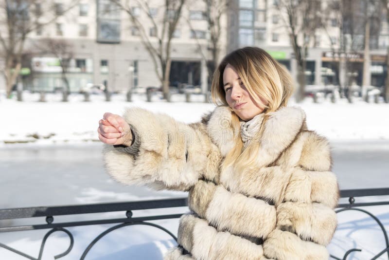 Snook No Background Stock Photos - Free & Royalty-Free Stock Photos ...