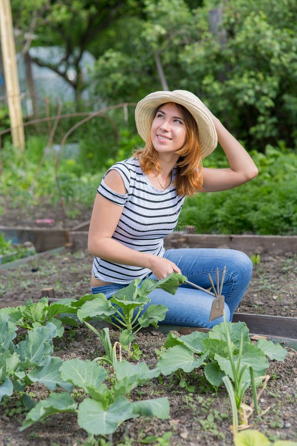 Woman in the garden stock image. Image of flowers, garden - 93803847