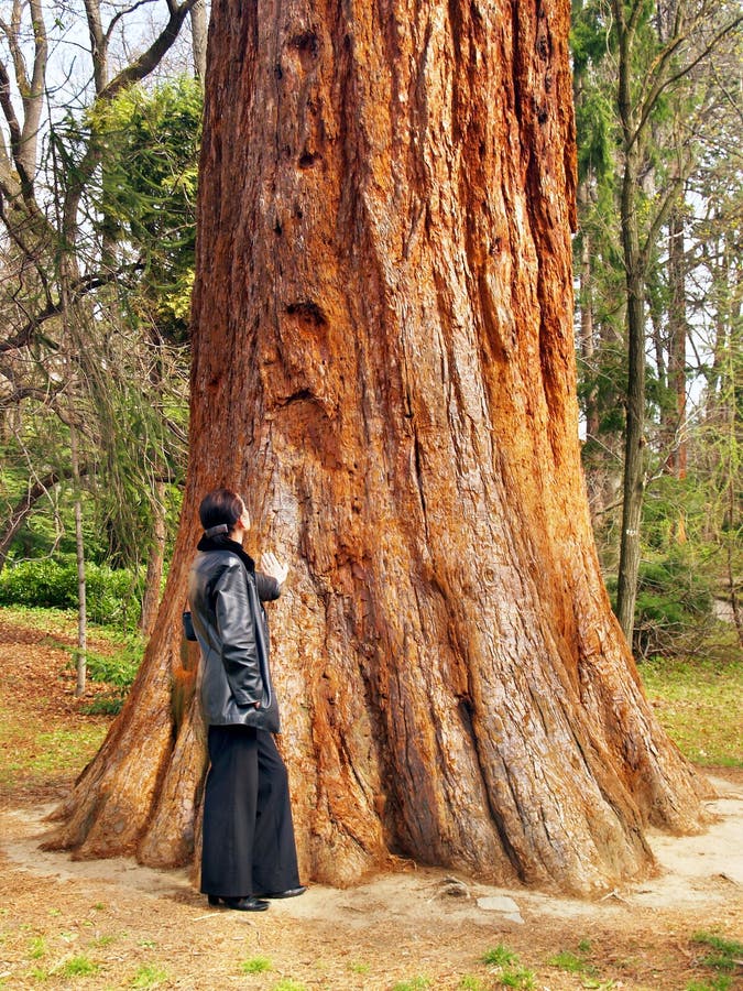 Cars parked on the street stock image. Image of parque - 13875297