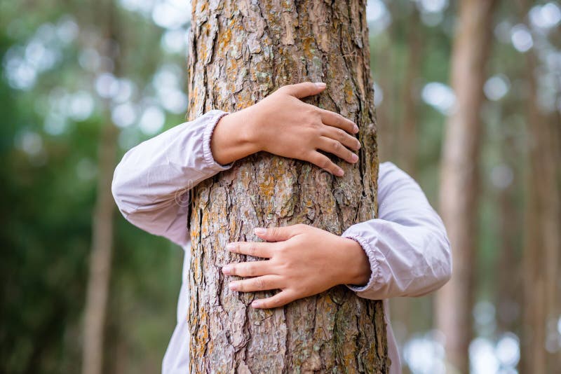 Love Tree stock image. Image of metaphor, forest, face - 54857301