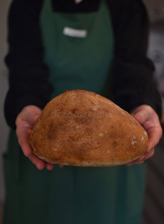 Woman in Green Apron Holding Bread Stock Image - Image of grain ...
